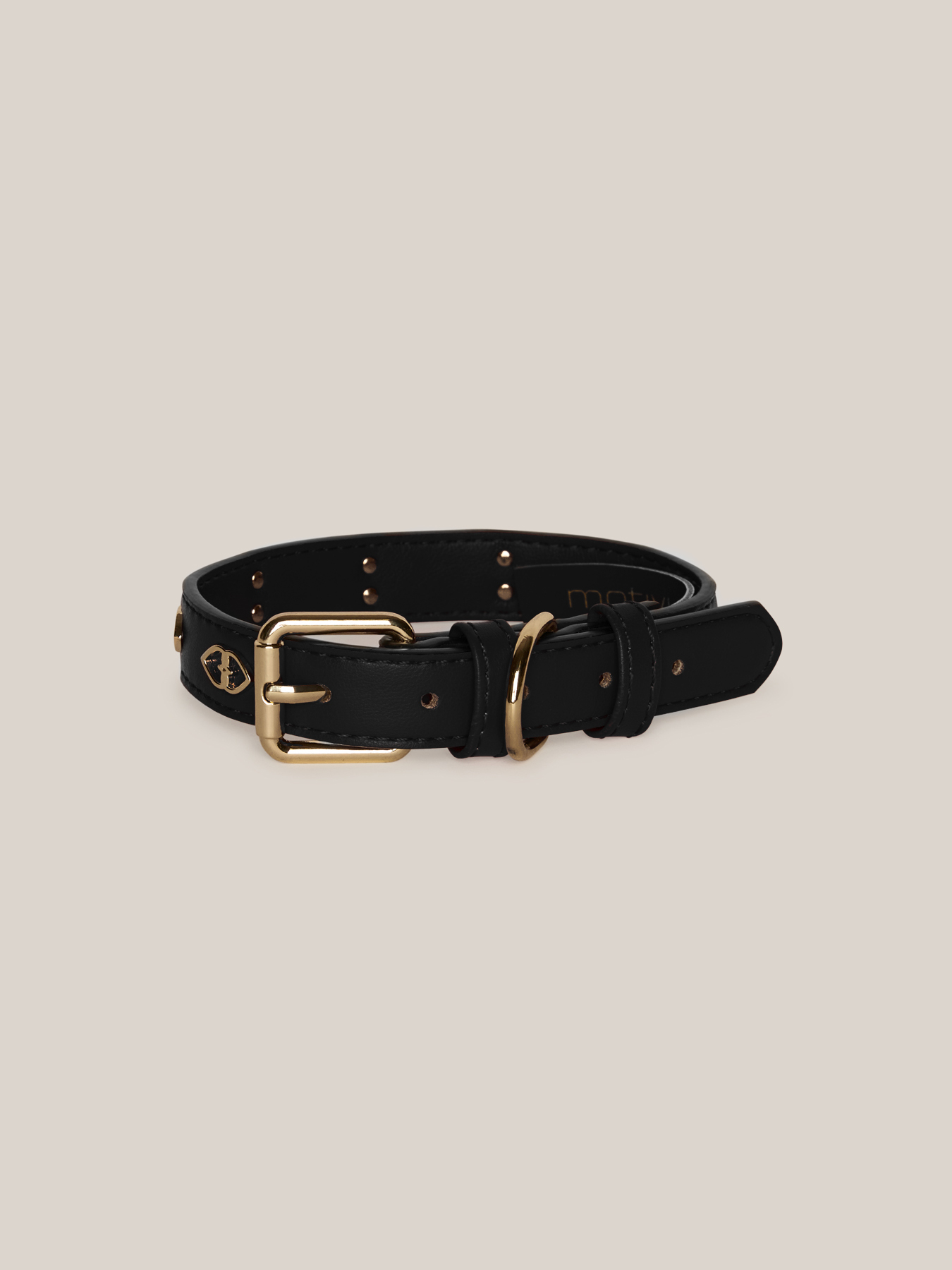 Pet Collection Collar